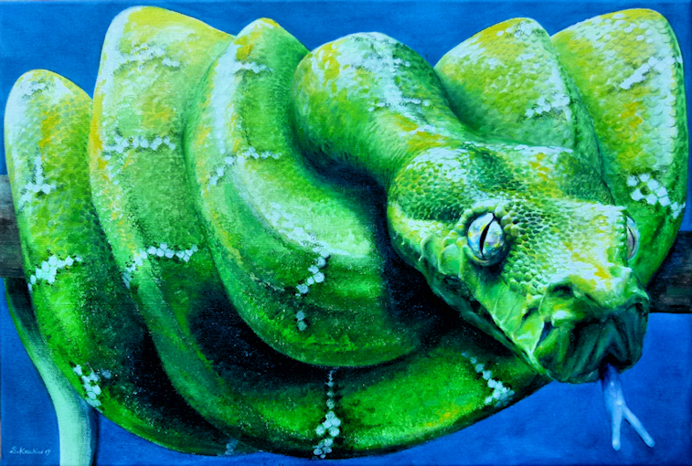 Die SCHLANGE als Krafttier - KUNST + SCHAMANISMUS